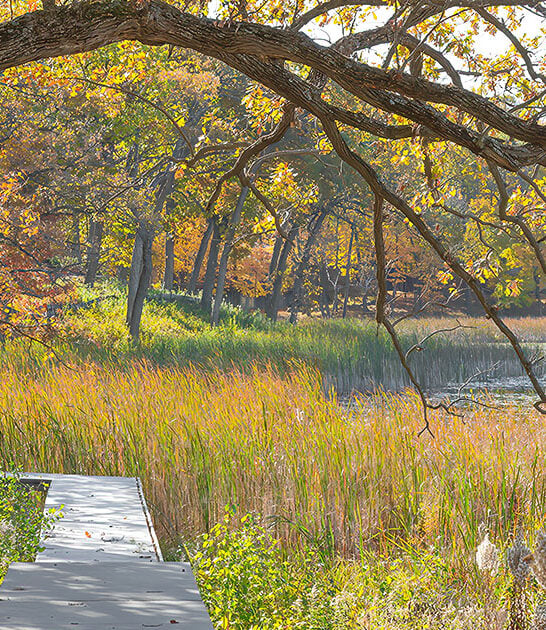 dreamy regional park minnesota ftr