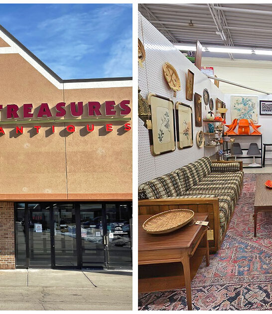 expansive-illinois-antique-store FTR