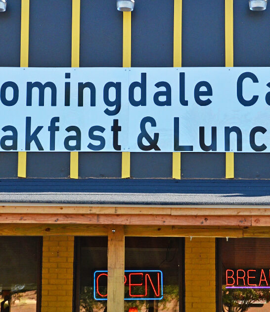illinois best omelet ftr