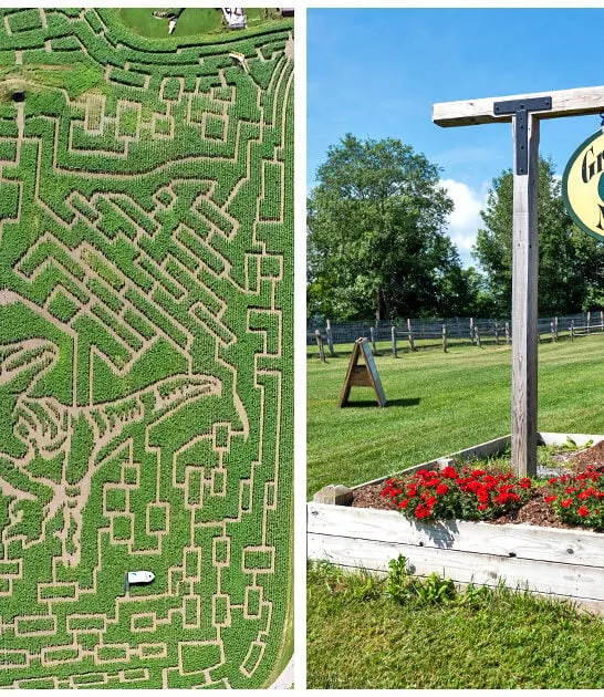 largest-corn-maze-vermont ftr