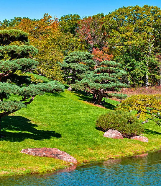 stunning garden illinois ftr