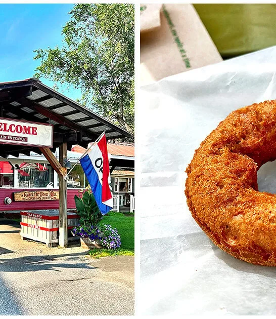 vermont-apple-cider-donuts FTR