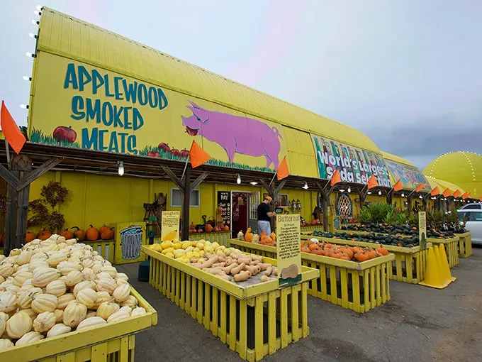 Welcome to the Wonka-esque wonderland of the Midwest! This yellow behemoth is like a beacon of joy in the Minnesota countryside.