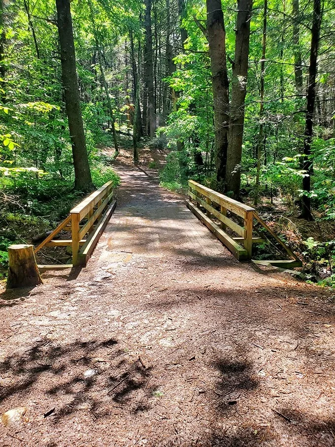 Narnia's backyard? This enchanting oasis at Vaughan Woods is where fairy tales come to life.