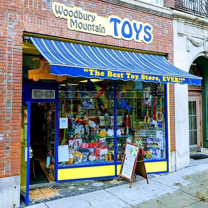 Step right up to the greatest show on Main Street! Woodbury Mountain Toys' storefront is like a circus tent for your inner child, minus the creepy clowns.