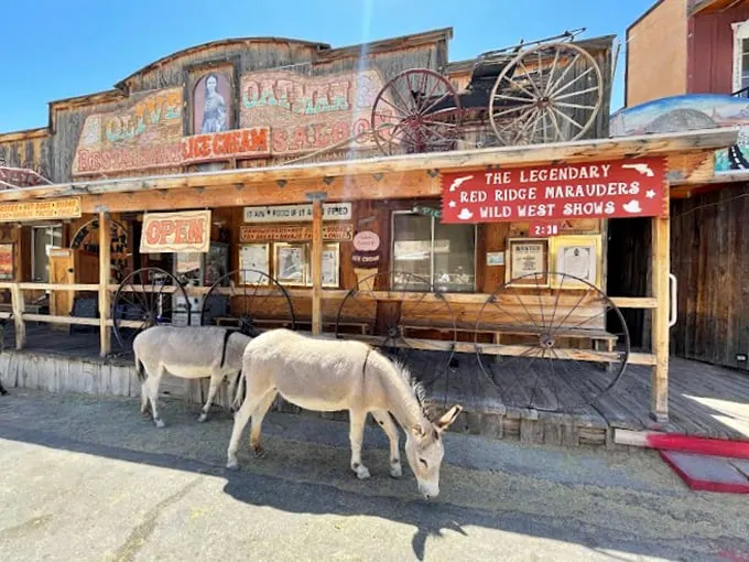 Welcome to the Wild West's quirkiest shopping spree! Oatman General Store greets you with weathered charm and some surprisingly well-behaved burros.