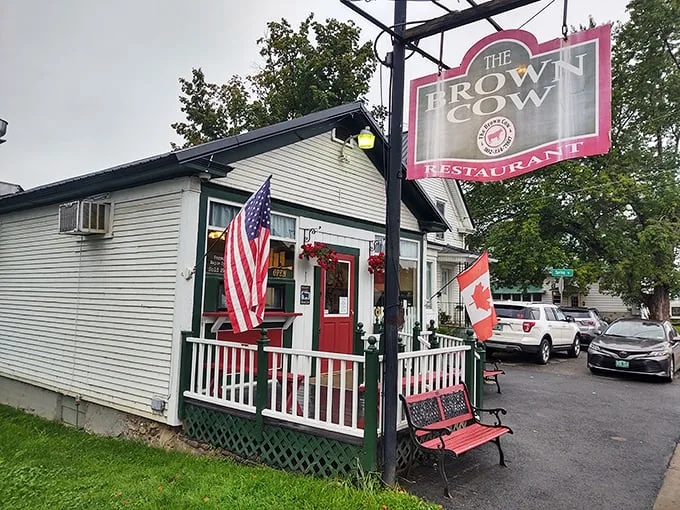 Welcome to The Brown Cow, where the American dream comes with a side of maple syrup and a dash of Canadian hospitality!