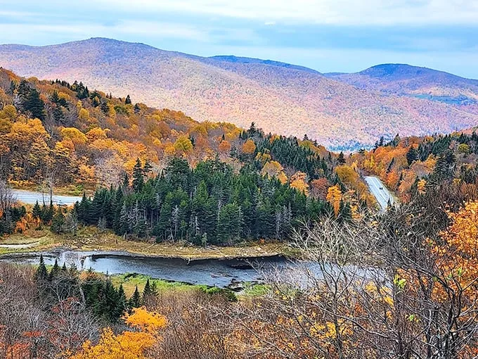Nature's paintbrush at work! Camel's Hump State Park in autumn is like a Bob Ross masterpiece come to life, minus the "happy little trees" commentary.
