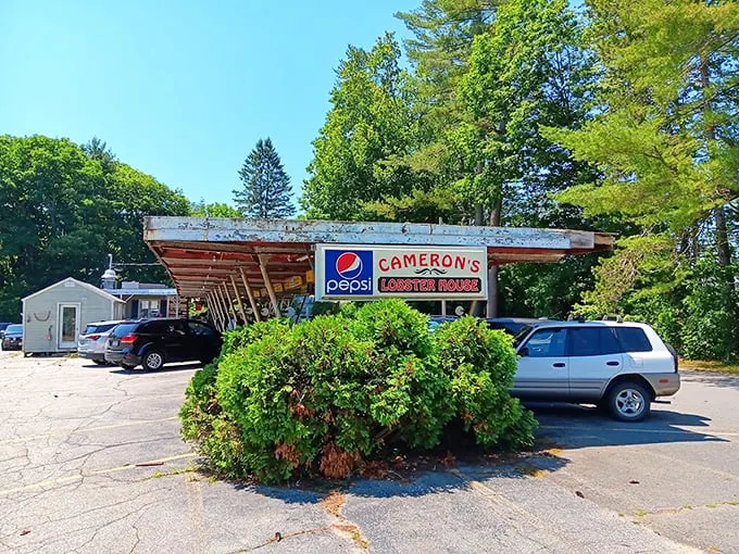 A slice of classic Maine welcomes you with this weathered sign, where seafood dreams and hungry travelers meet.