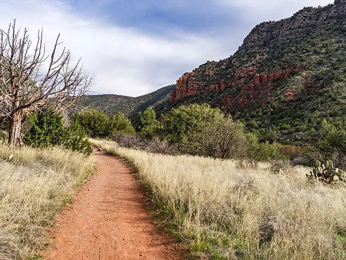 The red rock sentinels of Bell Trail stand guard over a winding path that beckons adventurers into Arizona's natural gallery.