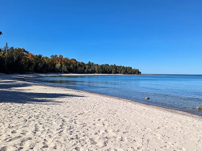 Who needs a desktop wallpaper when you've got this? Lake Michigan's crystal-clear waters meet a pristine sandy beach, creating nature's own screensaver.