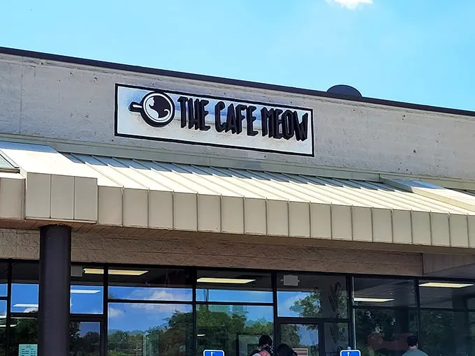 "Meow's the time for coffee!" The Cafe Meow's inviting storefront beckons cat lovers and caffeine addicts alike, promising a purr-fect blend of feline fun and caffeinated bliss.