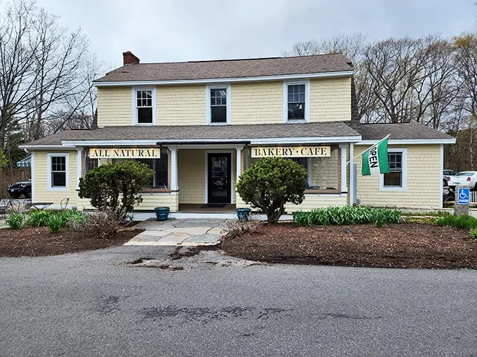 A charming yellow farmhouse transformed into a bakery paradise. Beach Pea Baking Co. welcomes you with a floral embrace that's pure Maine magic.