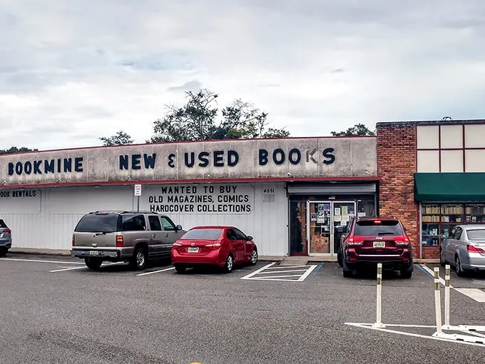 "Books, books everywhere, and not a Kindle in sight!" Welcome to Chamblin Bookmine, where the printed word reigns supreme and bibliophiles find their happy place.