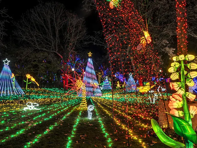 Step into a kaleidoscope of holiday cheer! ZooLights transforms Lincoln Park into a twinkling wonderland that would make even Santa's elves green with envy.