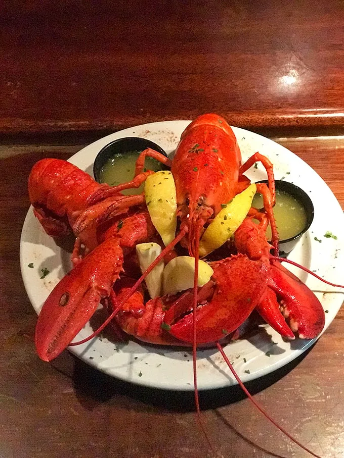 Red carpet treatment, seafood style! This lobster's ready for its close-up, striking a pose that screams 'I'm delicious, and I know it!'