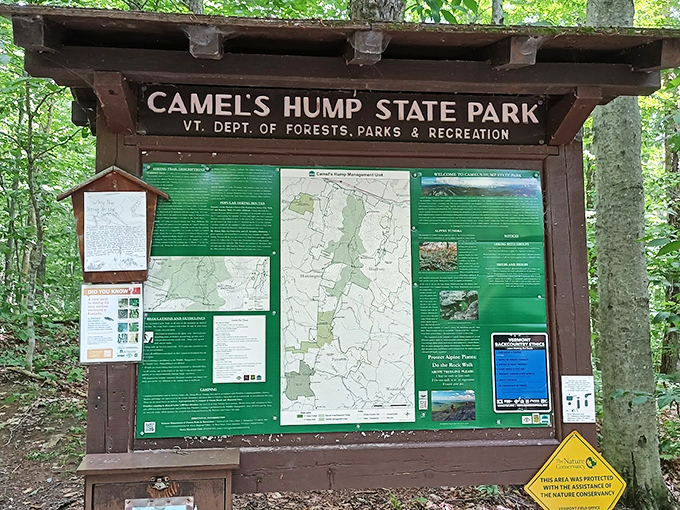 Information overload, nature-style! This sign is like the Wikipedia of the woods – packed with more facts than you can shake a hiking stick at.