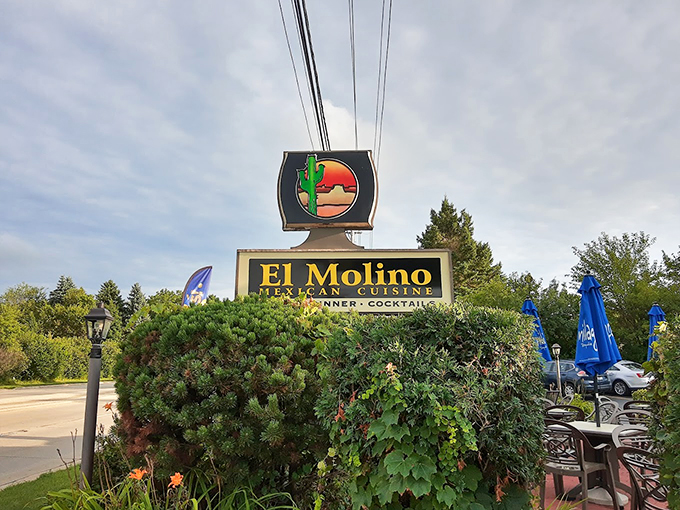 Like a desert oasis, El Molino's iconic sign has been guiding hungry travelers to authentic Mexican flavors since 1984.