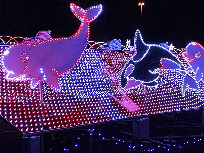 Dolphins leaping through waves of light – it's an aquatic acrobat show, minus the splashing! Keep your windows rolled up just in case.
