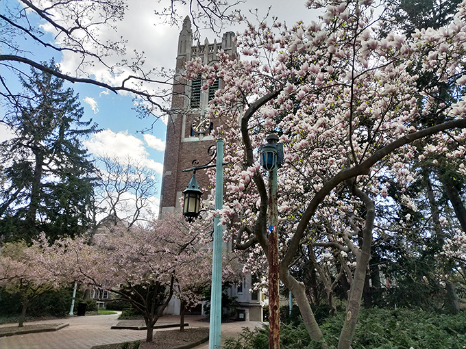 Beaumont Tower: Where Gothic architecture goes back to school. It's the scholarly version of a fairy tale castle. 