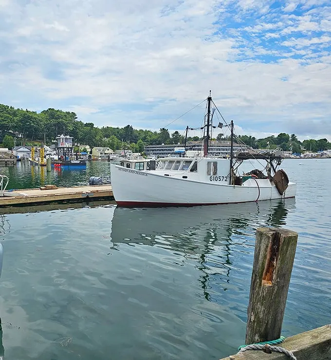 From sea to table in record time! This hardworking boat ensures your lobster is fresher than your latest dance moves.