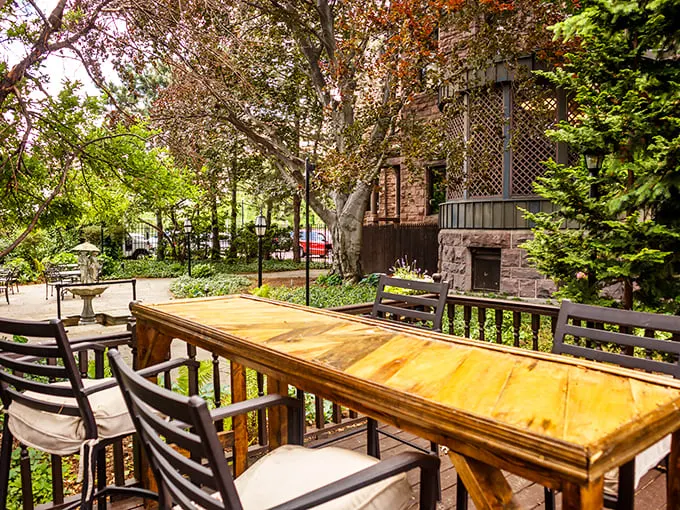 Nature's dining room: Where the birds provide the soundtrack and the trees offer shade service.