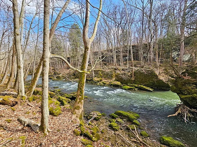Where the Little Miami River decided to show off its landscaping skills. Spoiler alert: it's really good at it.