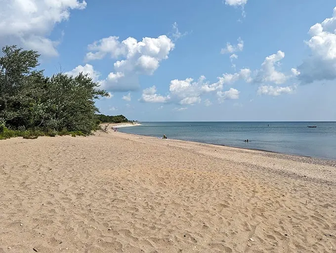 Sun-kissed sands stretch for miles, nature's own infinity pool. Lake Michigan whispers secrets to the shore, while prairie grasses dance in the breeze.