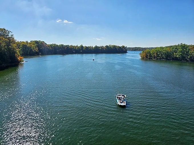 Nature's own water park! Sparkling blue waters invite you to dive in, while lush forests promise adventure on land.