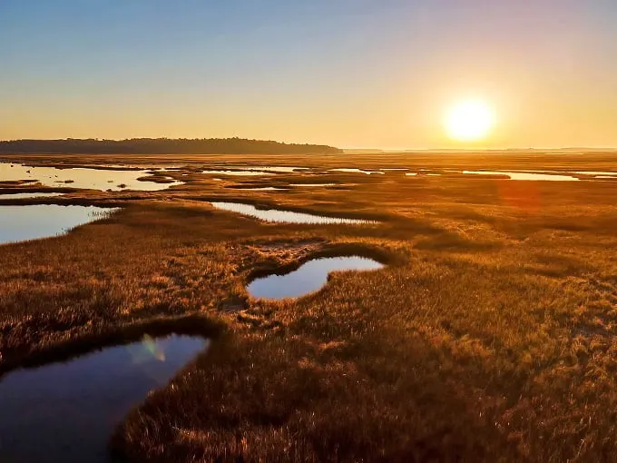 Scarboro Marshes: Nature's golden hour party! This sunset transforms the marsh into a shimmering sea of amber waves. Who needs a red carpet when you've got this?