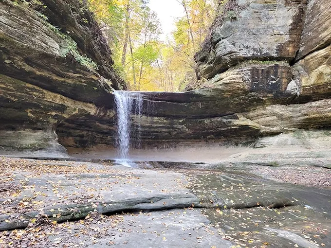 Nature's own waterfall wonderland! This cascading beauty is like Mother Earth's way of showing off her best dance moves.