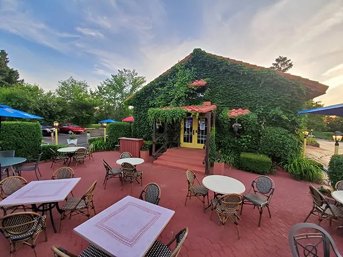 Patio paradise alert! El Molino's outdoor seating is like a secret garden, minus the talking flowers but plus delicious tacos. Photo credit: Jonathan Mercado