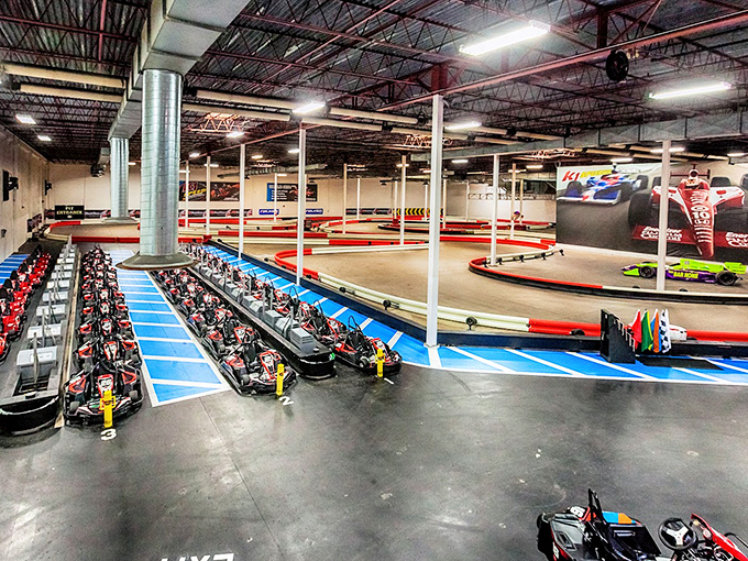Welcome to the Thunderdome of fun! This indoor racing paradise is where speed dreams come to life.