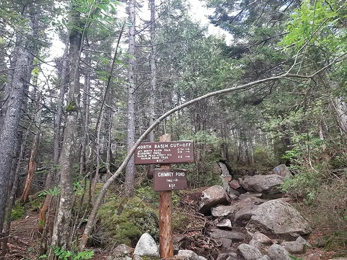 Trail markers stand sentinel among granite guardians, pointing the way to adventures that await just around the bend.