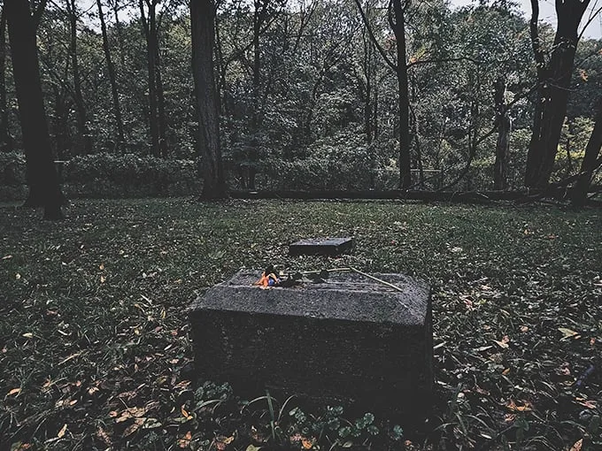 Nature's reclaiming this spooky spot faster than teenagers ghost their dates. Indiana Jones would feel right at home! Photo credit: Moon