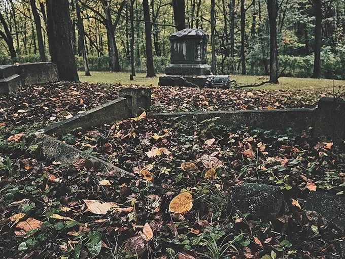Misty mornings and moss-covered stones? Check. This place is more atmospheric than a Tim Burton film set. Photo credit: Moon