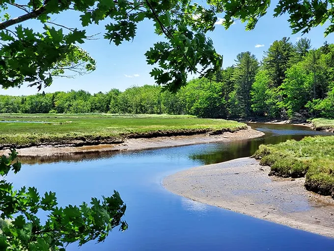 A river runs through it… and around it… and basically everywhere. Rachel Carson's refuge is like nature's waterpark, minus the screaming kids.