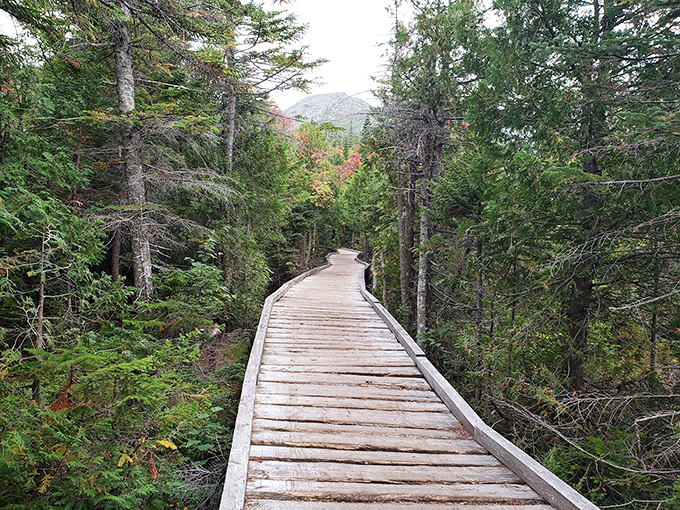 This winding boardwalk could be a scene from 