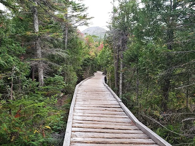 This winding boardwalk could be a scene from