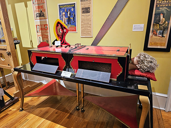"Now you see it, now you don't! This sawing-in-half illusion might make you think twice about volunteering as an assistant." Photo credit: Rose B.