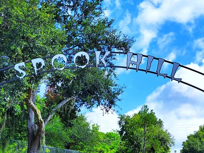 Isaac Newton's nightmare and every kid's dream rolled into one gravity-defying hill. Buckle up for a mind-bending ride!