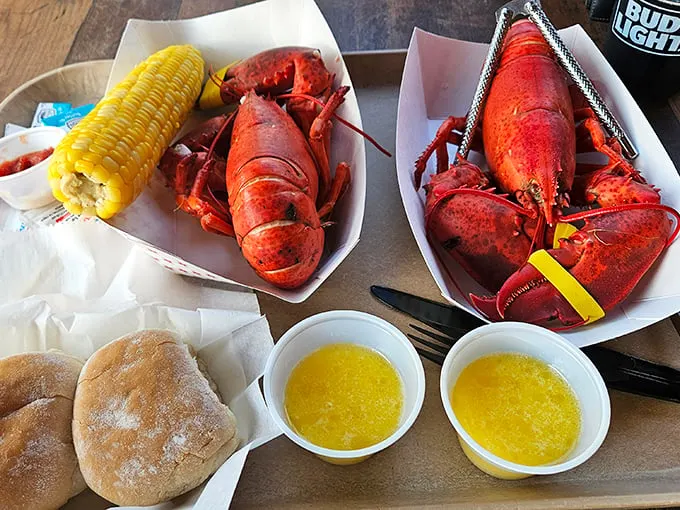 Red-hot love affair on a plate! These steamed beauties are ready for their butter bath and your eager fork.