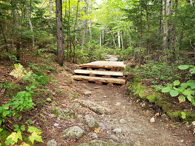 Rustic log steps serve as nature's stairmaster - a reminder that the best views come with a side of cardio.