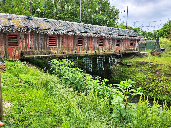 This weathered wooden wonder isn't just bridging a gap—it's connecting us to a simpler time. No trolls living underneath, we checked!