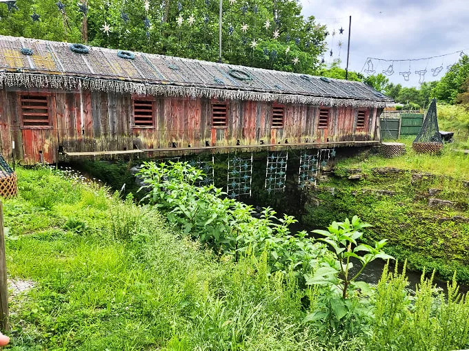 This weathered wooden wonder isn't just bridging a gap—it's connecting us to a simpler time. No trolls living underneath, we checked!