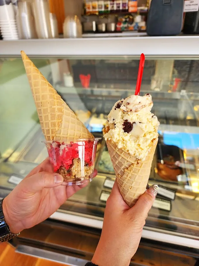Two perfect scoops show off the artistry of gelato-making, with one classic waffle cone and one cup for decision-makers.
