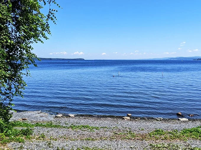 Lakeside serenity: Where the water meets the sky, and your only job is to soak in the view. No filter needed!
