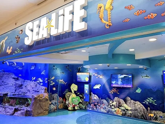 Dive into an underwater wonderland at Sea Life Minnesota. It's like Finding Nemo came to life, minus the traumatic clownfish separation anxiety.
