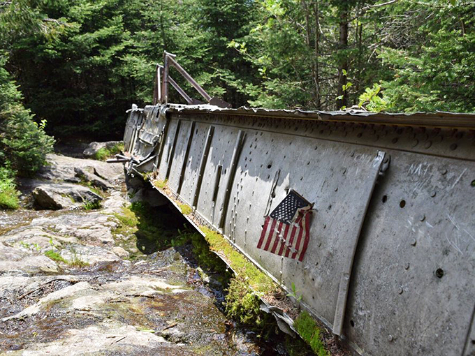 History meets nature in an unexpected twist. This B-24J bomber remnant is like finding a dinosaur fossil in your backyard – surprising and oddly fascinating.