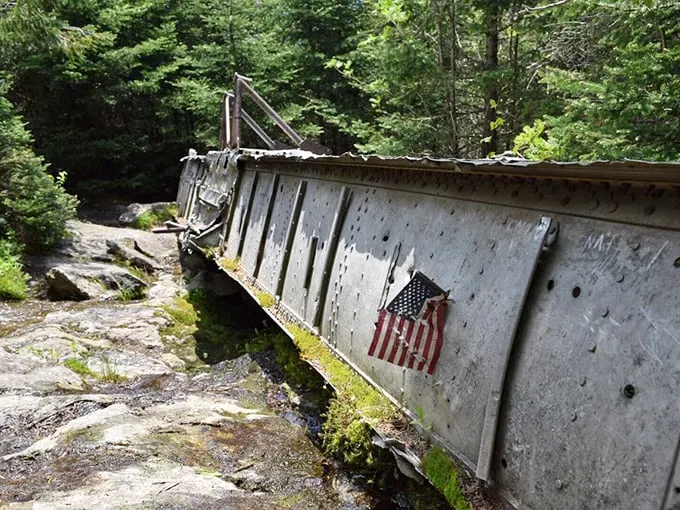 History meets nature in an unexpected twist. This B-24J bomber remnant is like finding a dinosaur fossil in your backyard – surprising and oddly fascinating.
